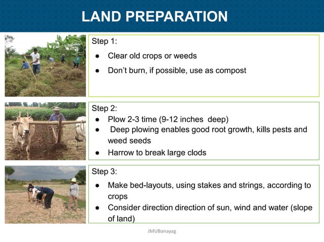 Training on Vegetable Production (Basic Course) | PDF