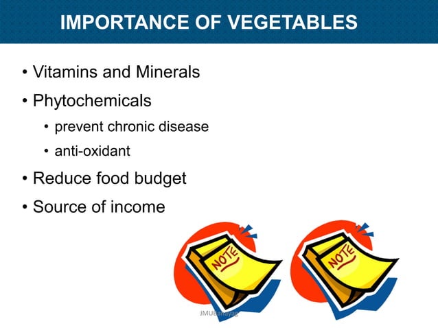 Training on Vegetable Production (Basic Course) | PDF