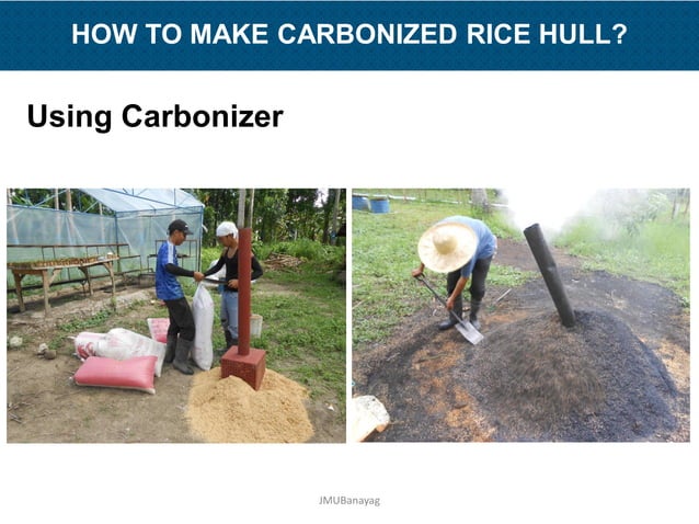 Training on Vegetable Production (Basic Course) | PDF