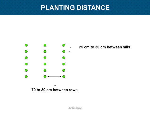 Training on Vegetable Production (Basic Course) | PDF