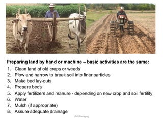 Training on Vegetable Production (Basic Course) | PPT