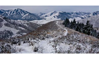 Training Planning Presentation Betsy 2016 | PPT