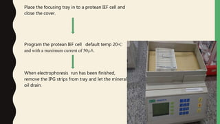 2D GEL ELECTROPHORESIS | PPTX