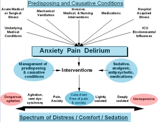 Training ppt of xamdex | PPT | Pharmaceutical Drugs | Medical Health