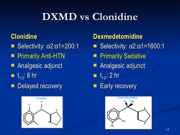 Training ppt of xamdex