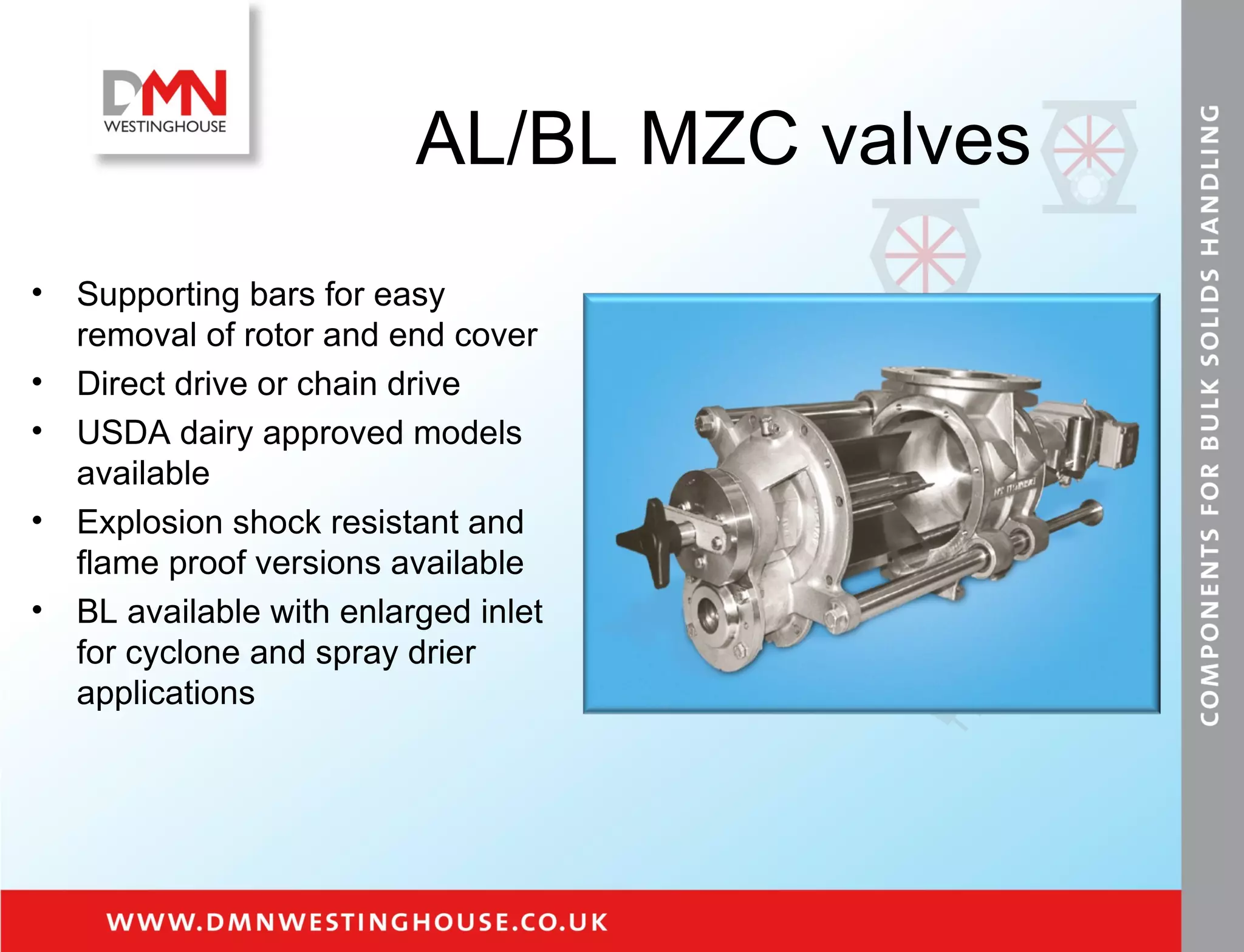 DMN Training Presentation | PPT