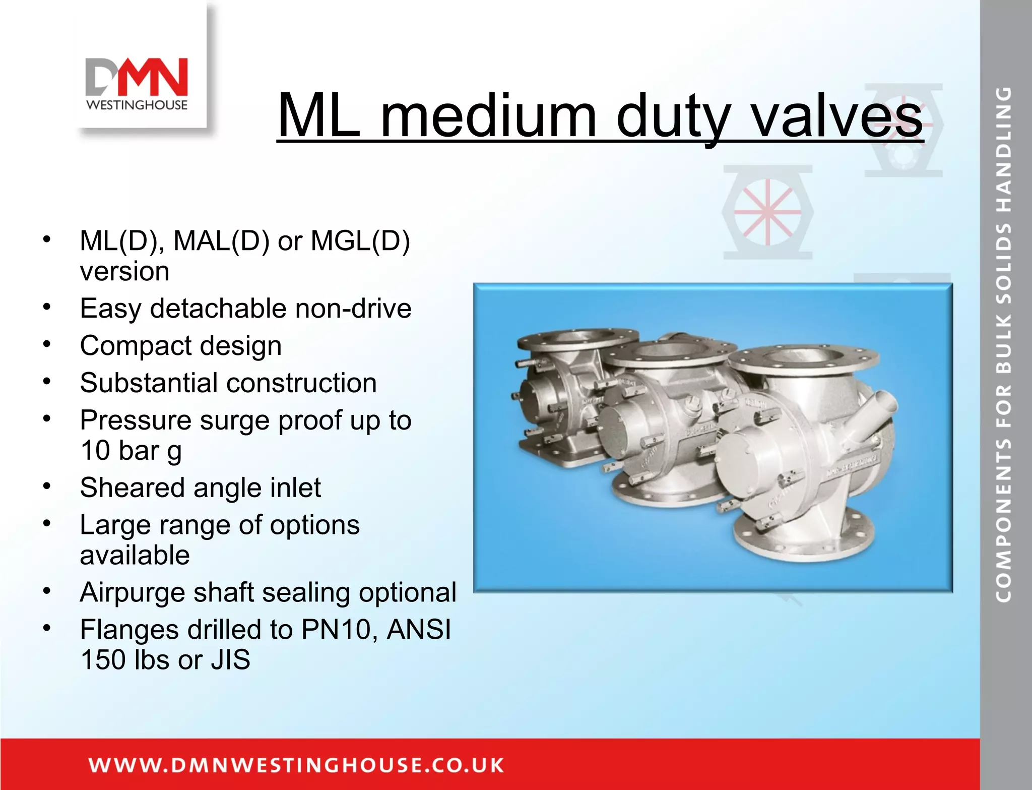 DMN Training Presentation | PPT