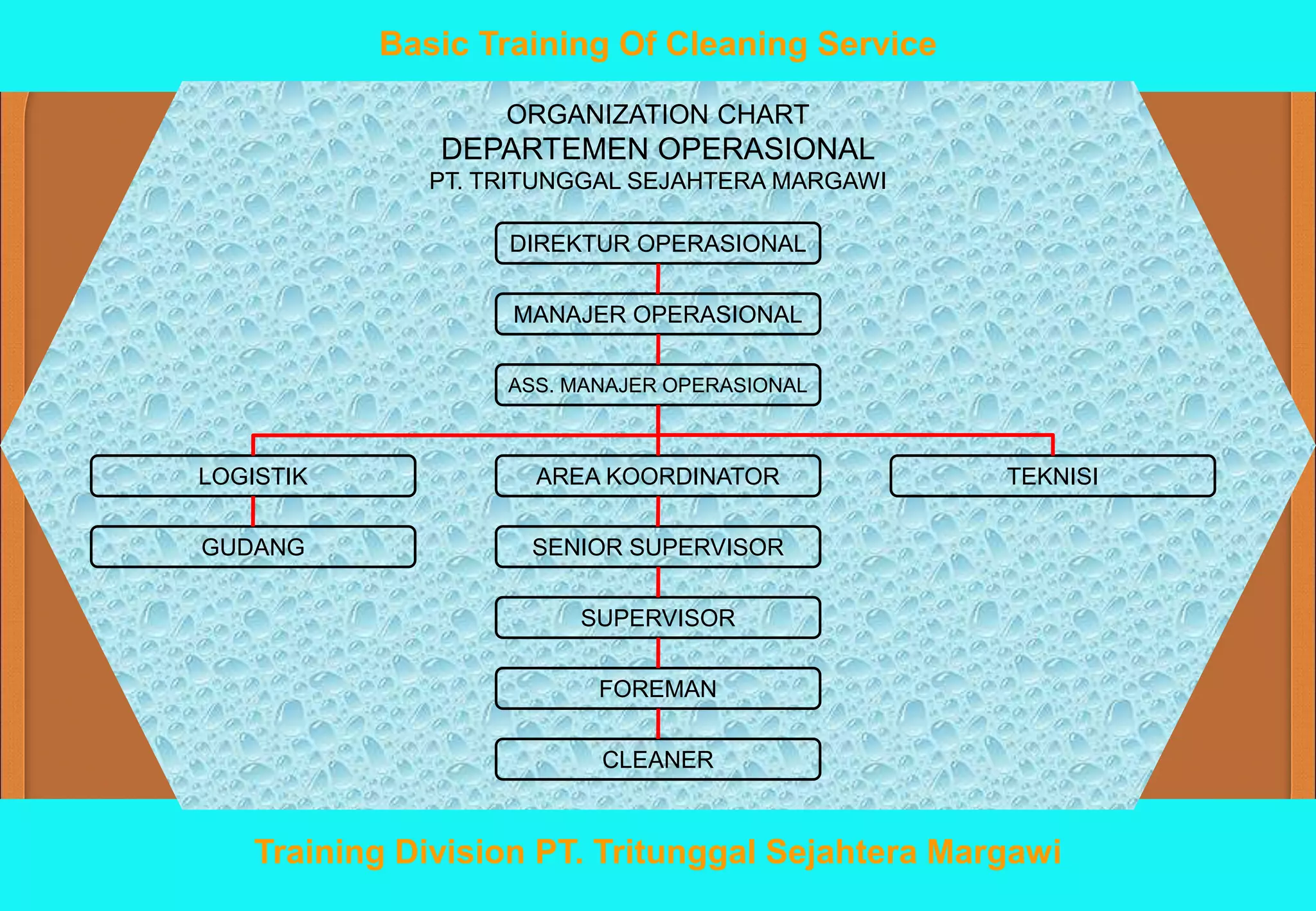 TRAINING PRESENTATION CLEANING SERVICE 1.ppt