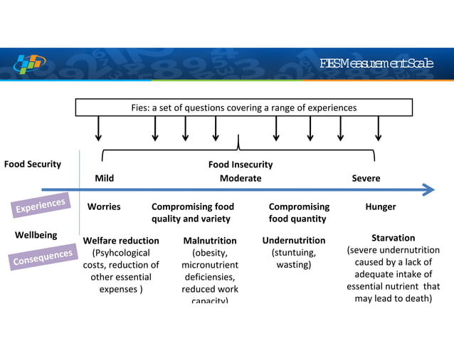 TRAINING PRESENTATION ON MEASURING THE FOOD INSECURITY EXPERIENCE SCALE ...