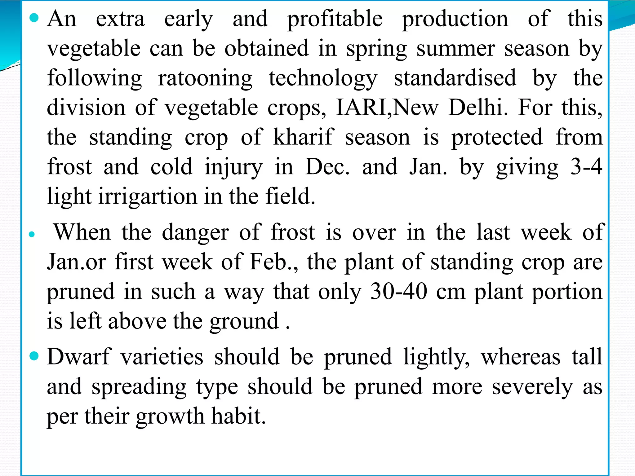 Training, Pruning, Staking.pptx