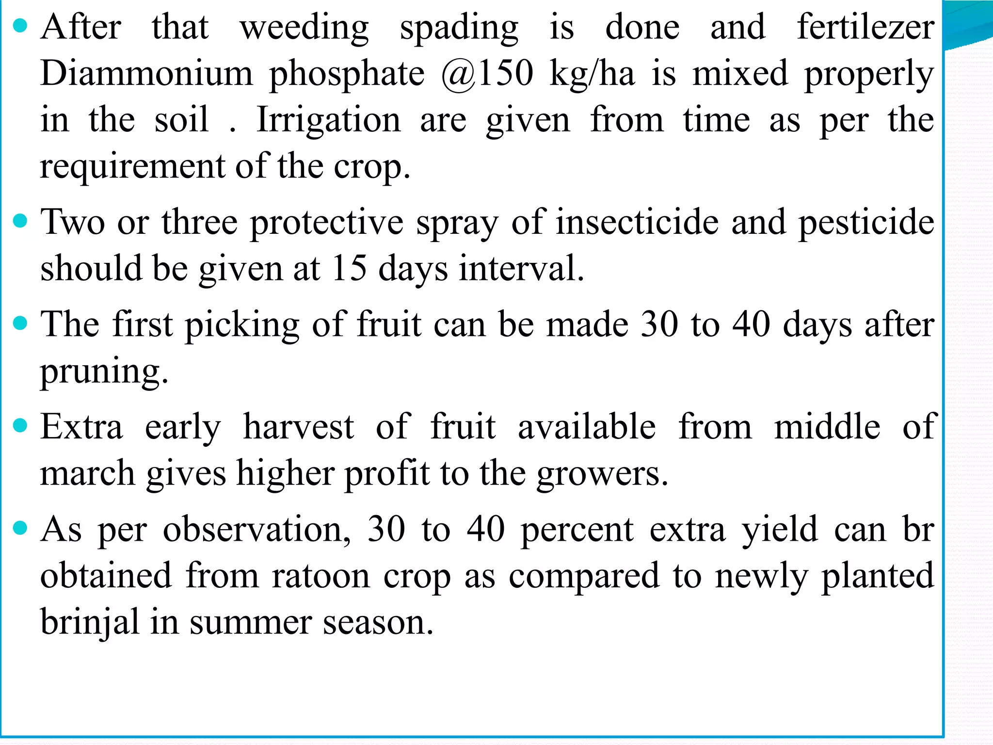 Training, Pruning, Staking.pptx