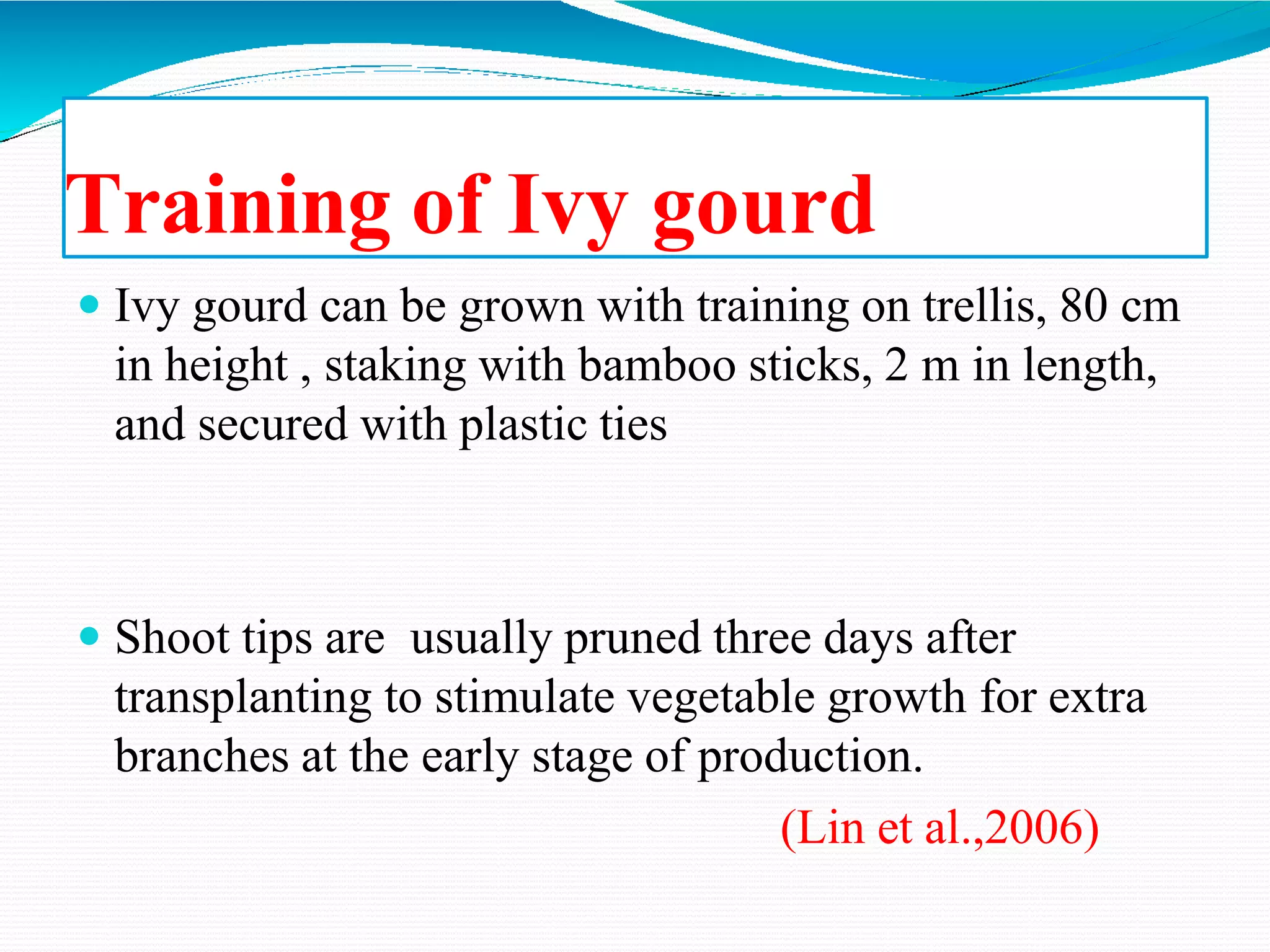 Training, Pruning, Staking.pptx