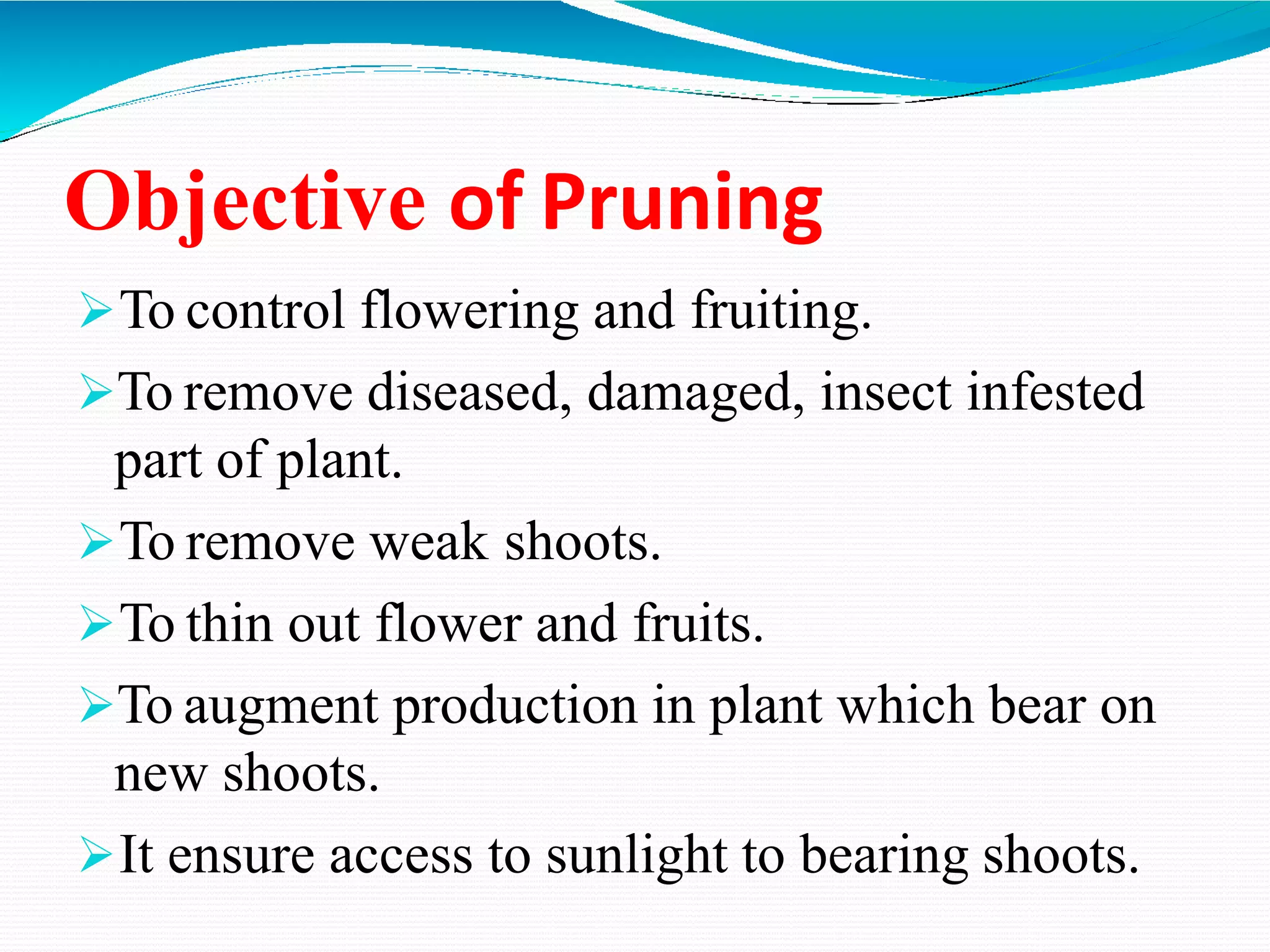 Training, Pruning, Staking.pptx