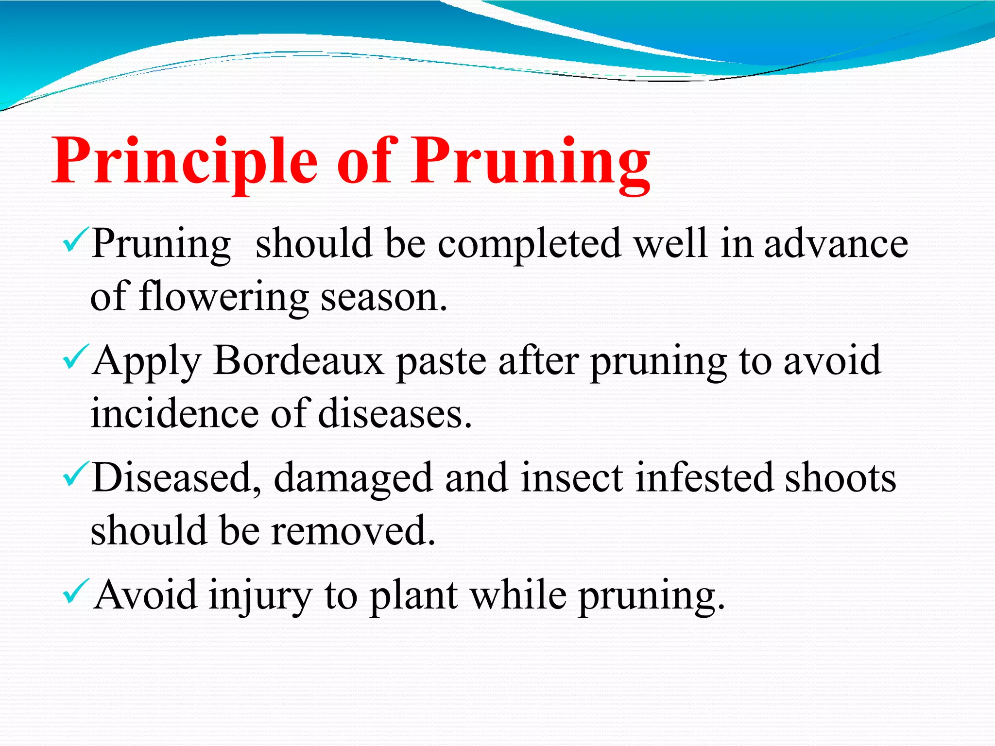 Training, Pruning, Staking.pptx