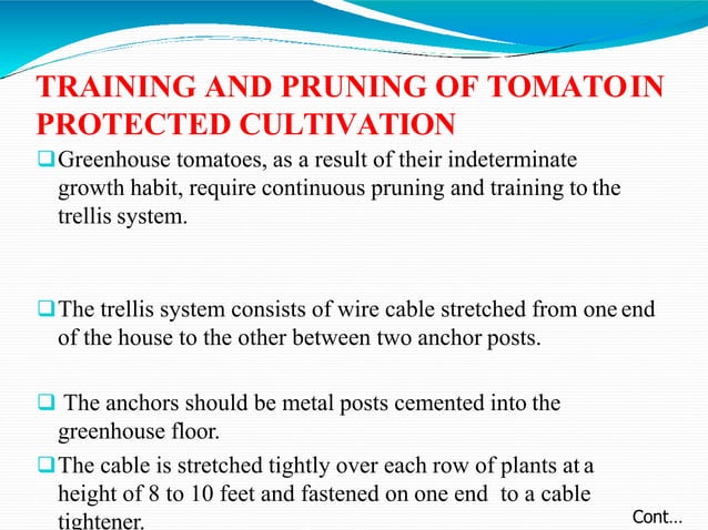 Training, Pruning, Staking.pptx