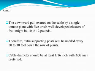 Training, Pruning, Staking.pptx