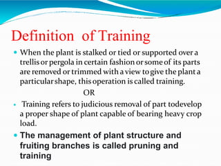 Training, Pruning, Staking.pptx
