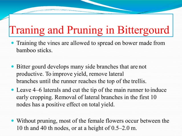 Training, Pruning, Staking.pptx