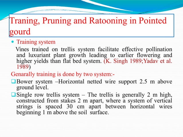 Training, Pruning, Staking.pptx