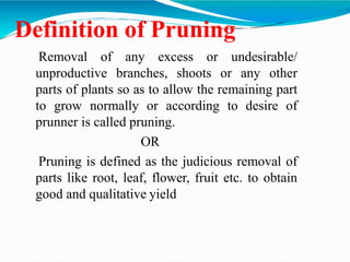 Training, Pruning, Staking.pptx