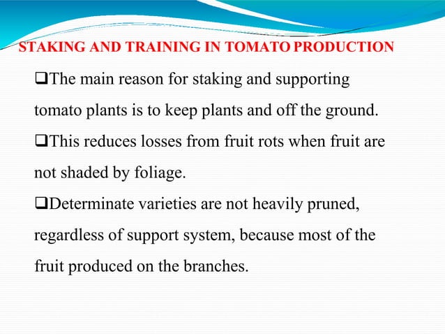 Training, Pruning, Staking.pptx