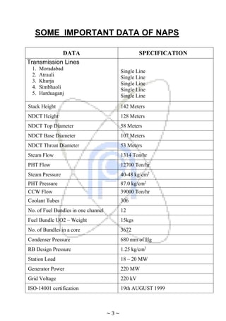 Narora Atomic Power Plant Vocational Training Report | PDF