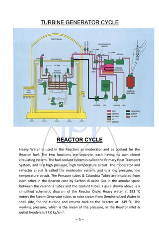 Narora Atomic Power Plant Vocational Training Report | PDF