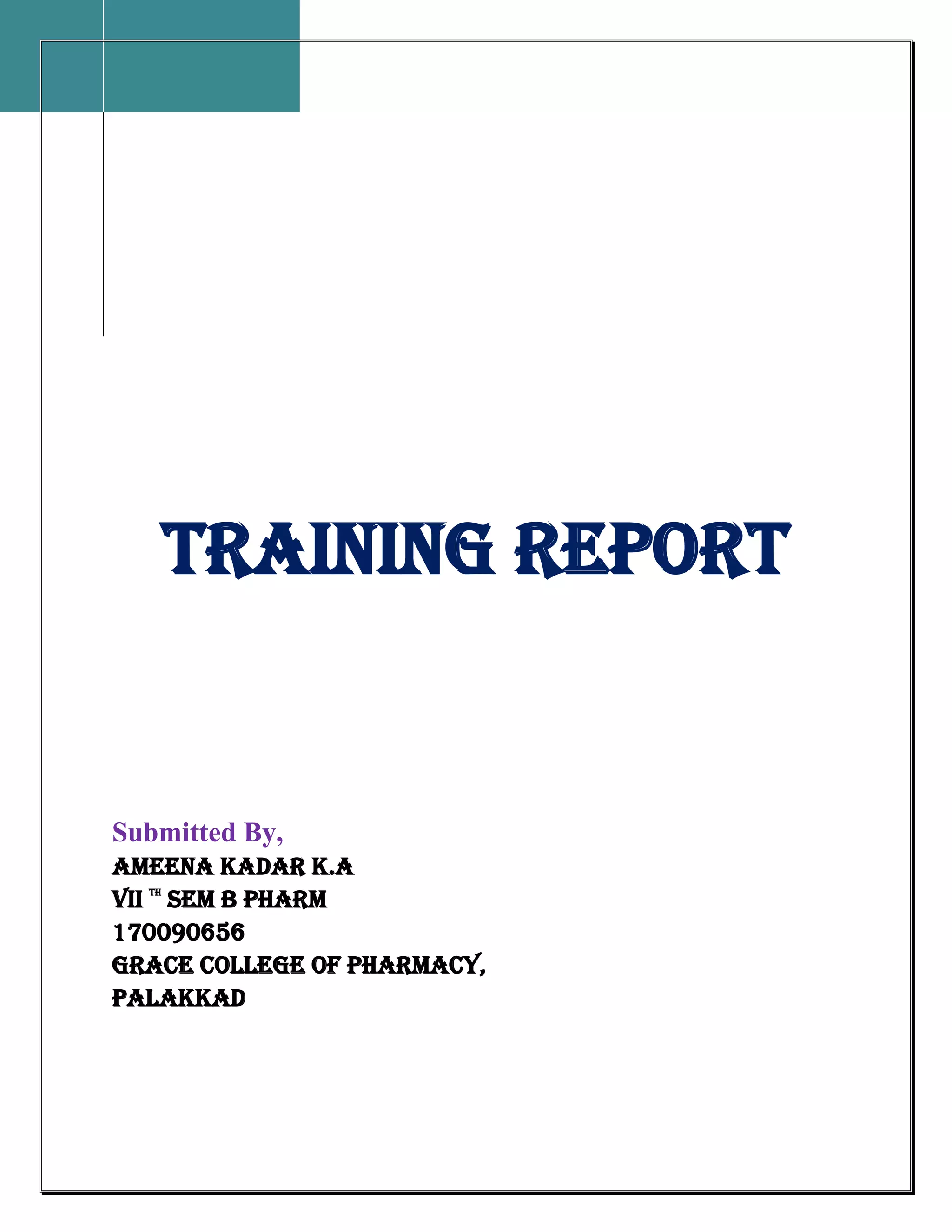 Industrial Training report | PDF