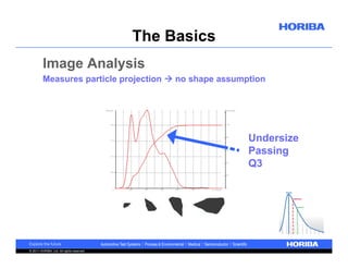 Understanding Your Particle Size Analyzer Results | PDF