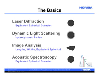 Understanding Your Particle Size Analyzer Results | PDF