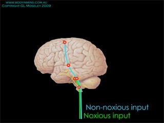 Training The Brain 1 Cognitive | PPT