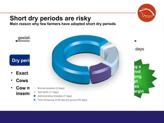 Training the dry period final MSD Salud Animal Salud Lechera | PPT
