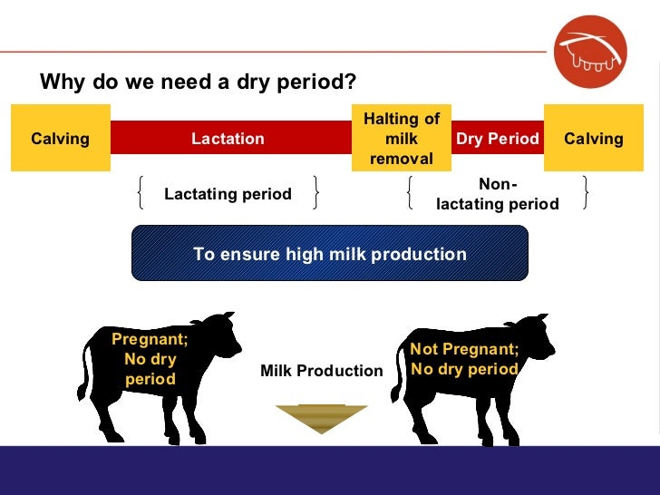 Training the dry period final MSD Salud Animal Salud Lechera