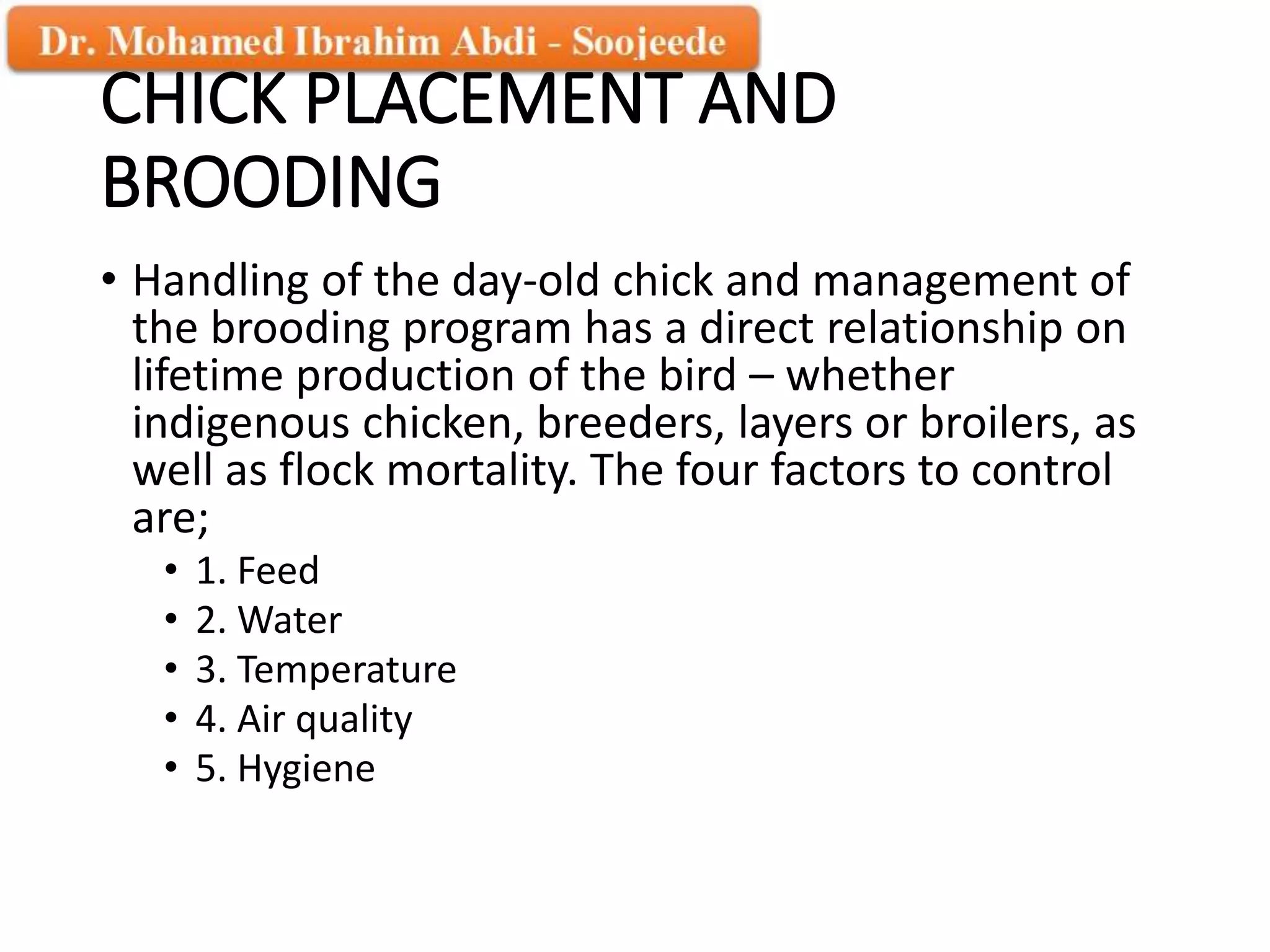 Somali indigenous chicken production | PPTX