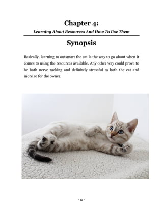 How to train the cat | PDF