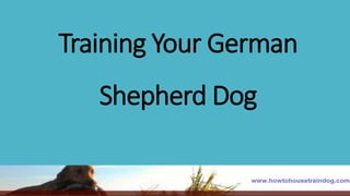 Training your german shepherd dog | PPTX