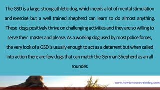 Training your german shepherd dog | PPTX
