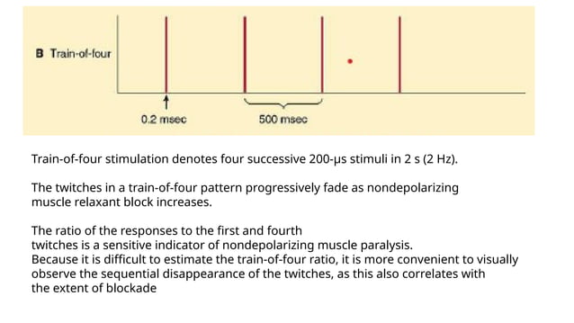Train of four method using peripheral nerve stimulator | PPT
