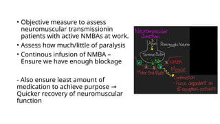 Train of four method using peripheral nerve stimulator | PPTX