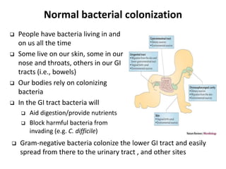Train the Trainer EPI_v2.pptx