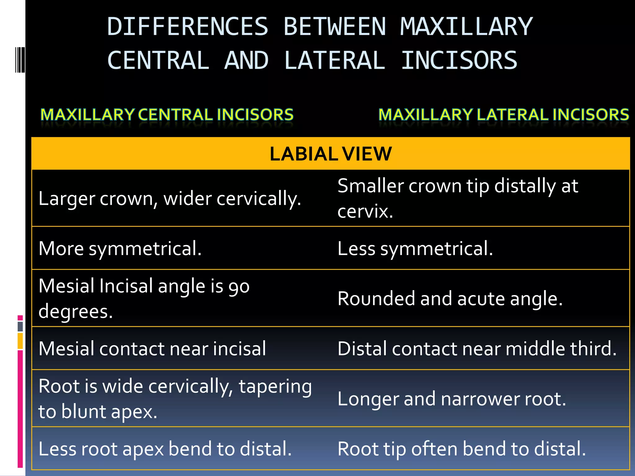 Trait categories helpful in describing tooth differences | PPTX