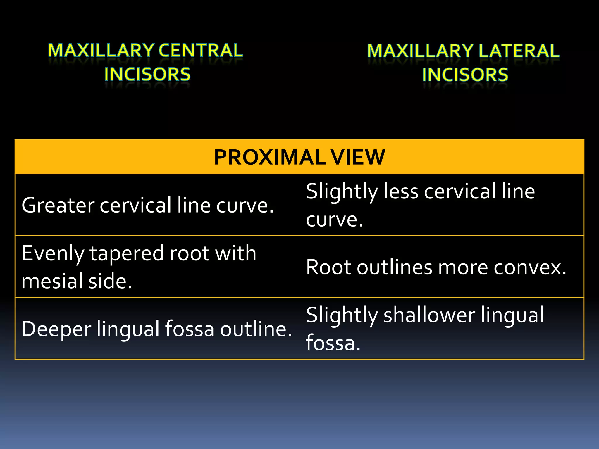 Trait categories helpful in describing tooth differences | PPTX