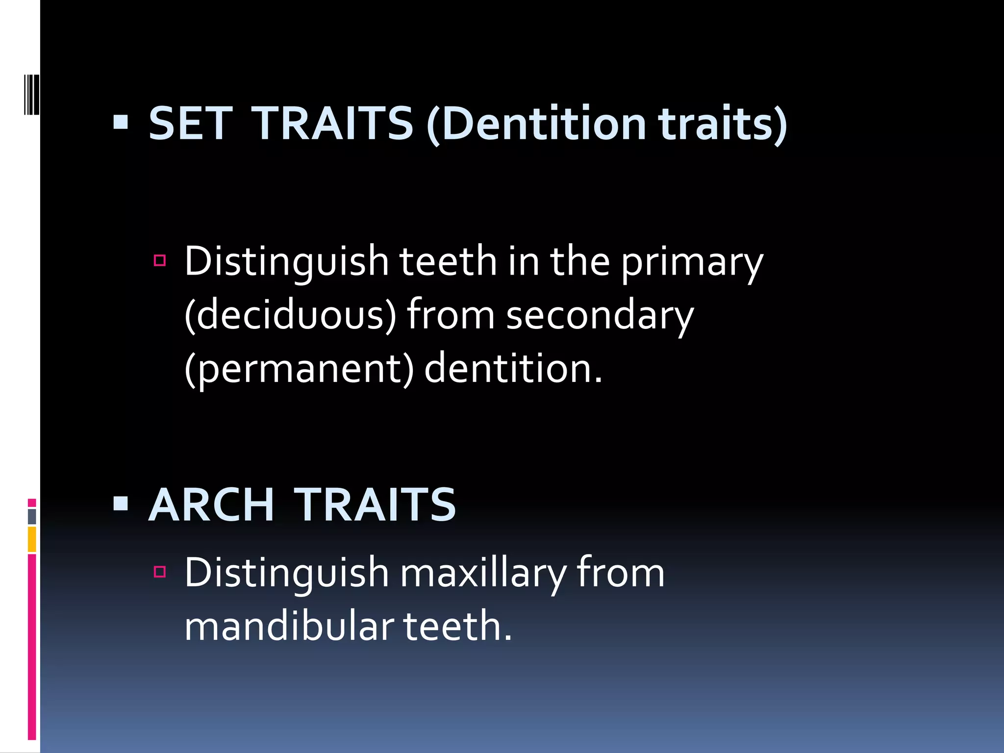 Trait categories helpful in describing tooth differences | PPTX