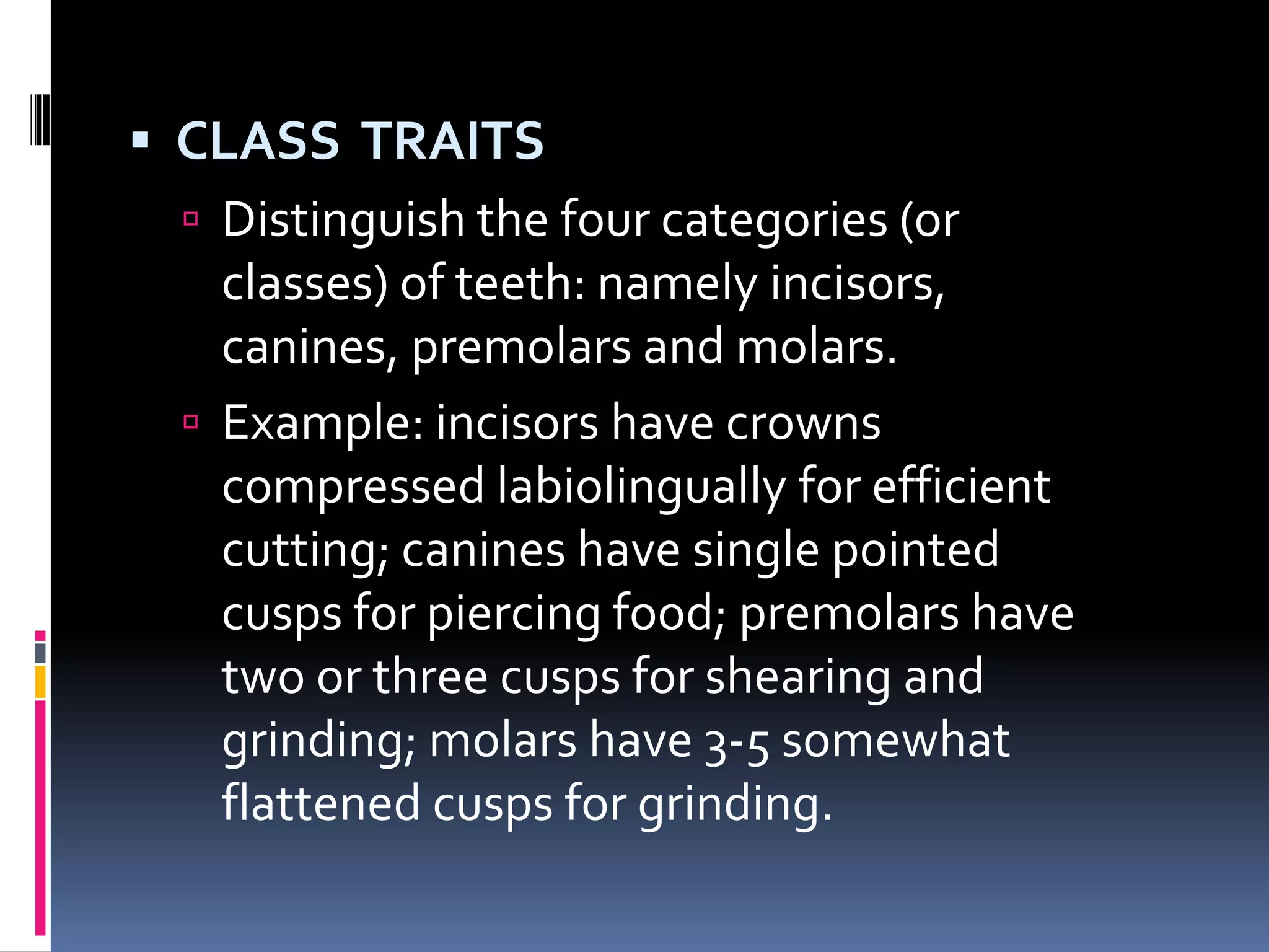 Trait categories helpful in describing tooth differences | PPTX