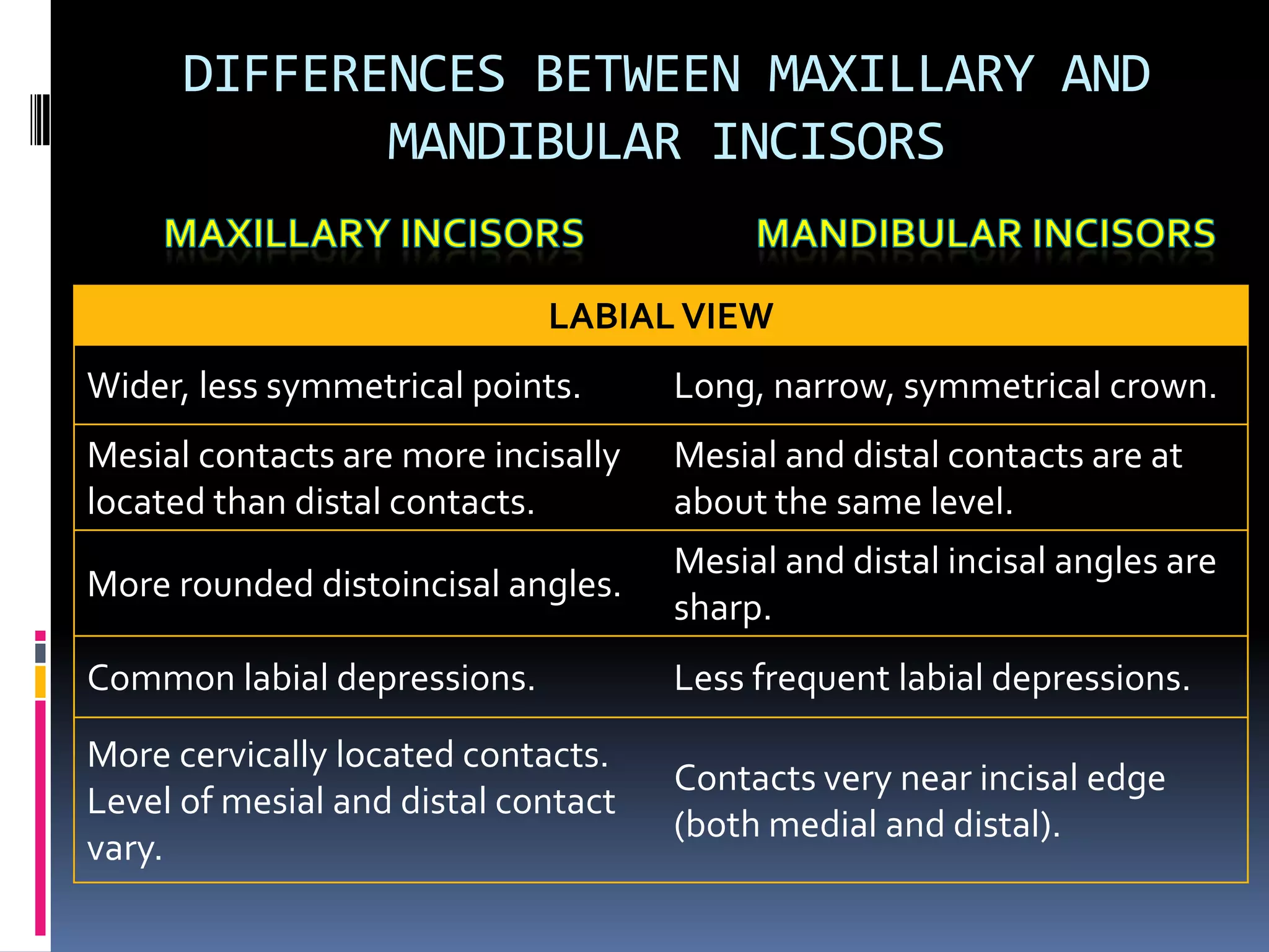 Trait categories helpful in describing tooth differences | PPTX