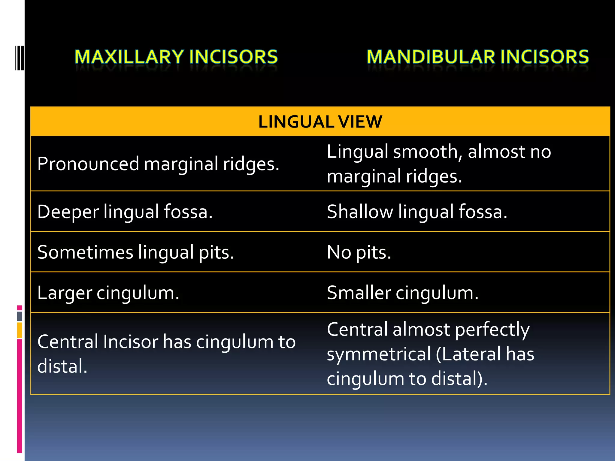 Trait categories helpful in describing tooth differences | PPTX