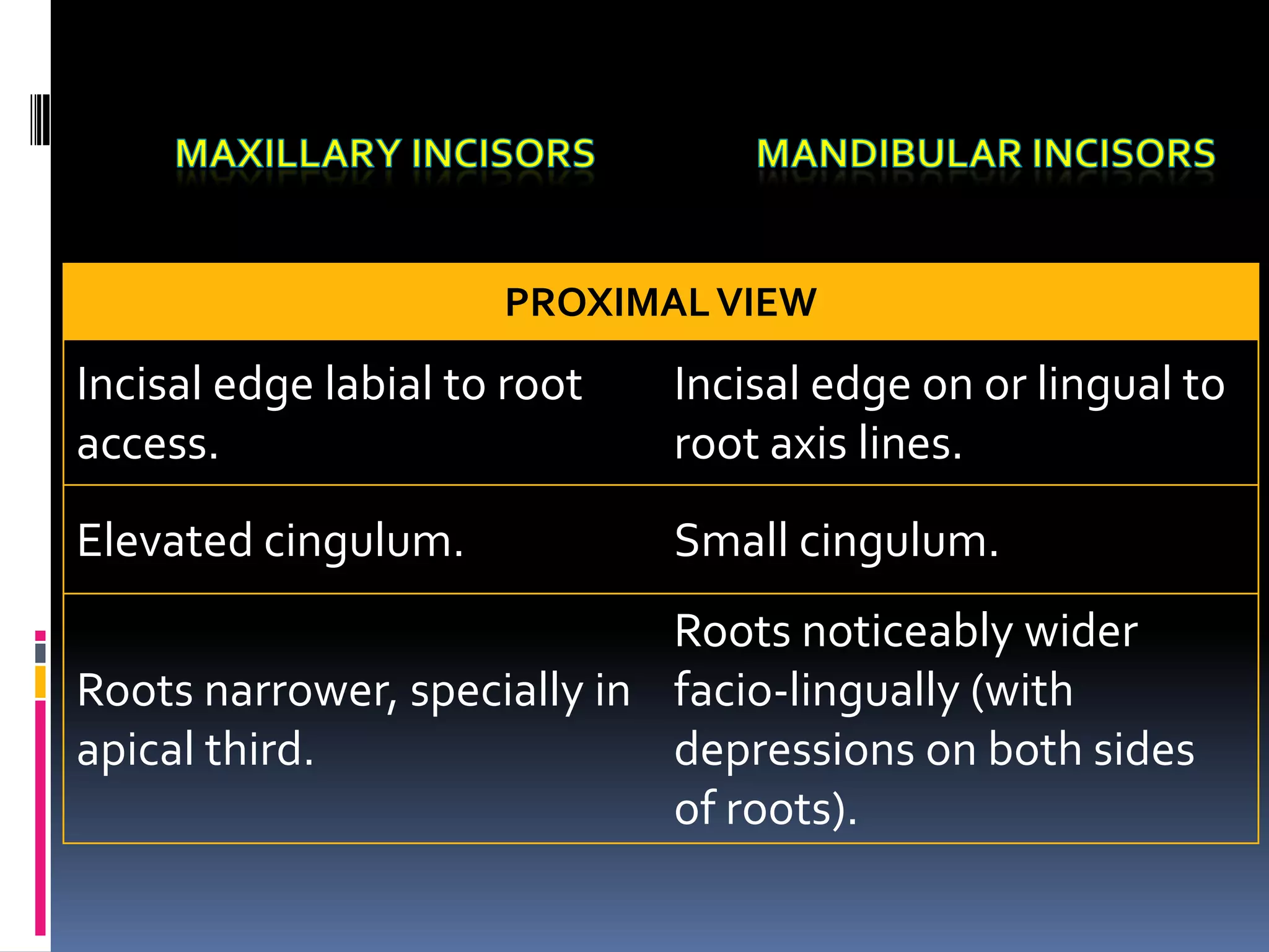 Trait categories helpful in describing tooth differences | PPTX