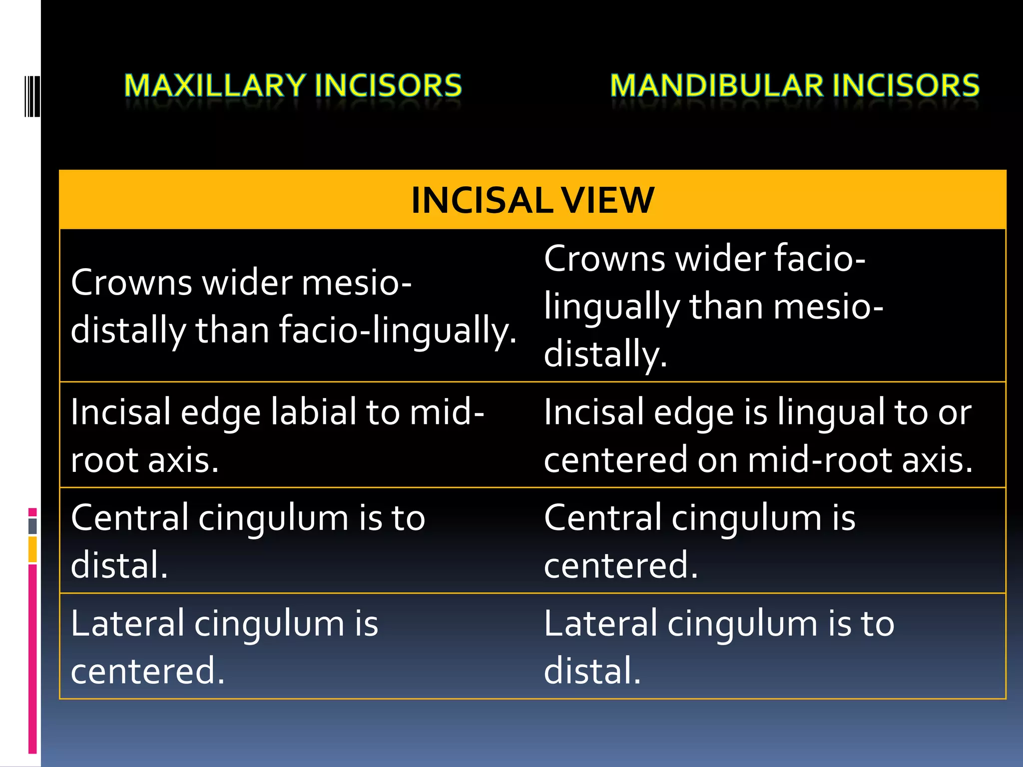 Trait categories helpful in describing tooth differences | PPTX