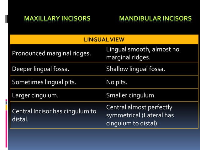 Trait categories helpful in describing tooth differences | PPTX