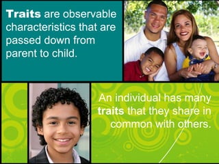 An Inventory of My Traits | PPT